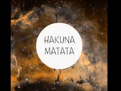 Hakuna Matata Remix Electro House
