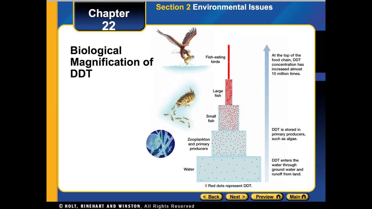 Biology Ch 22 Humans & the Environment - YouTube