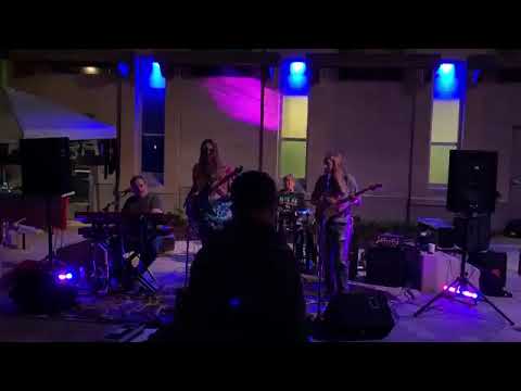 Sweet Delta Dawn - Eleanor Rigby-The Tail - YouTube