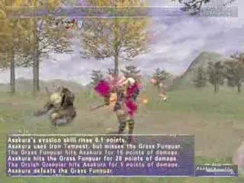 Final Fantasy XI funny - YouTube