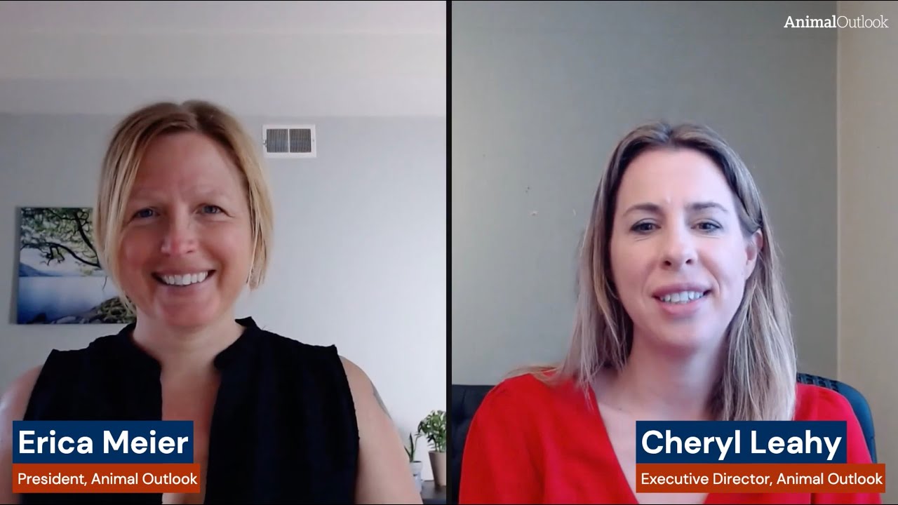 Cheryl Leahy & Erica Meier Talk: Investigations - YouTube