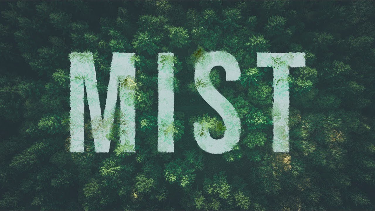 The Misty Forest 4K | Cinematic Drone Footage - YouTube