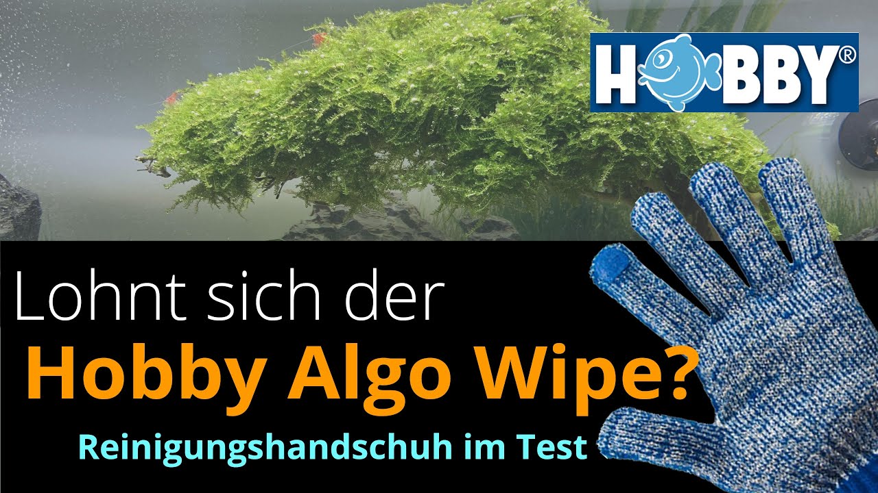 Lohnt sich der Hobby Algo Wipe? Reinigungshandschuh im Test - YouTube
