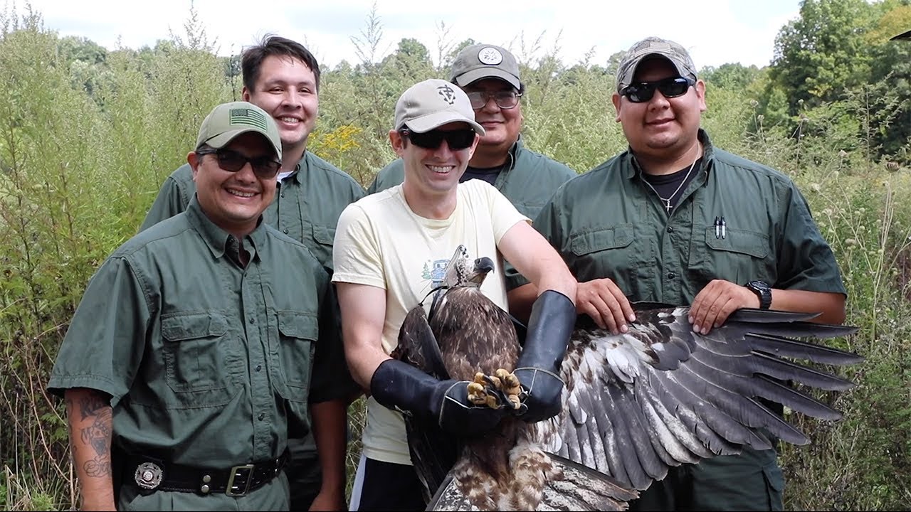Eagle Release - YouTube