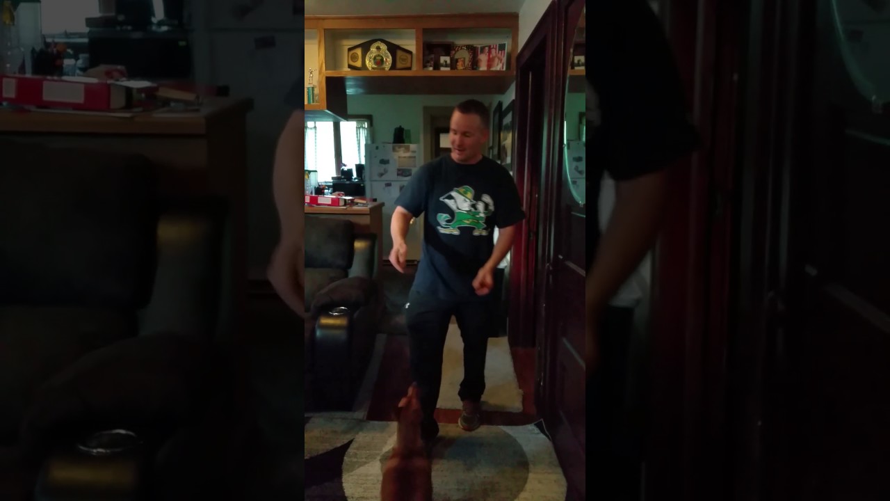 Allen the American boy litzau showing his dogs rocky and Apollo tricks ...