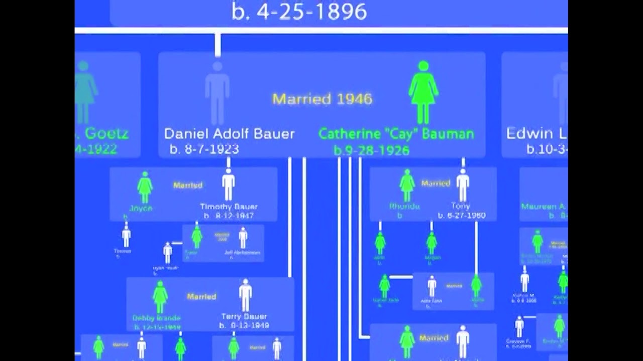 Bauer Family Tree - YouTube