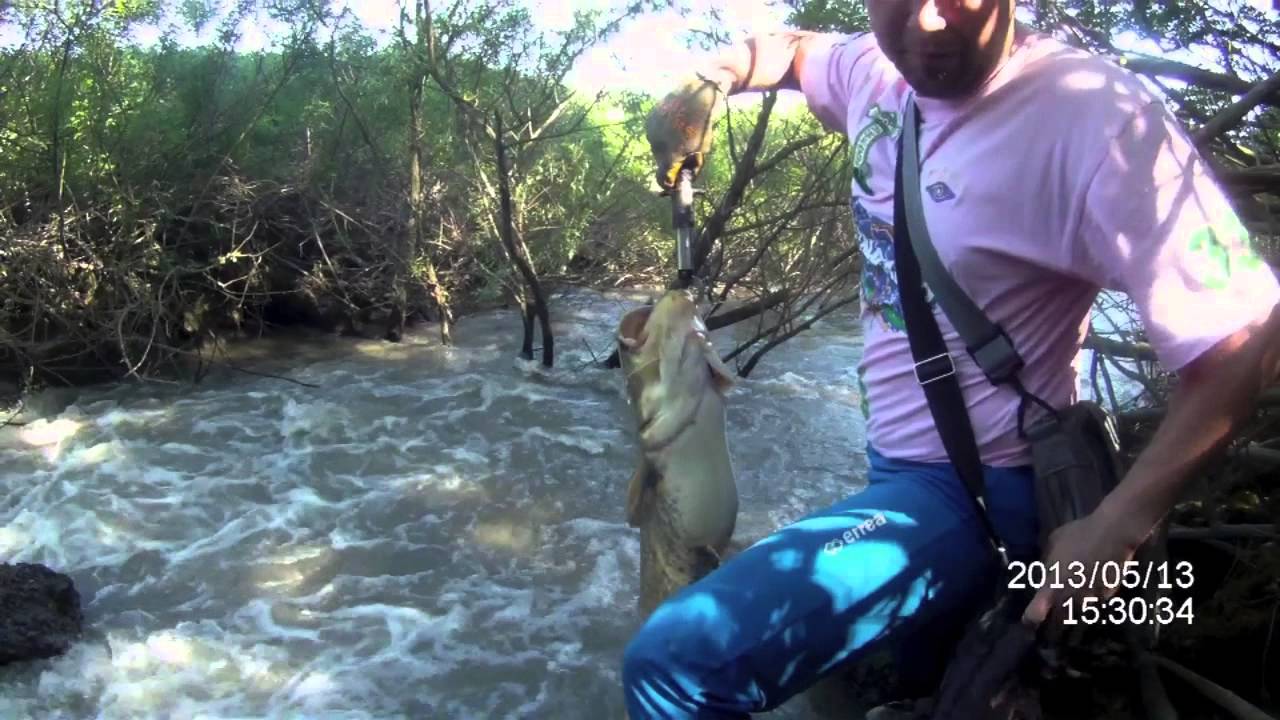 SPINNING CATFISH 105cm WITH BLACK CAT BOAT SPIN 240 HARD FIGHTING - HD ...