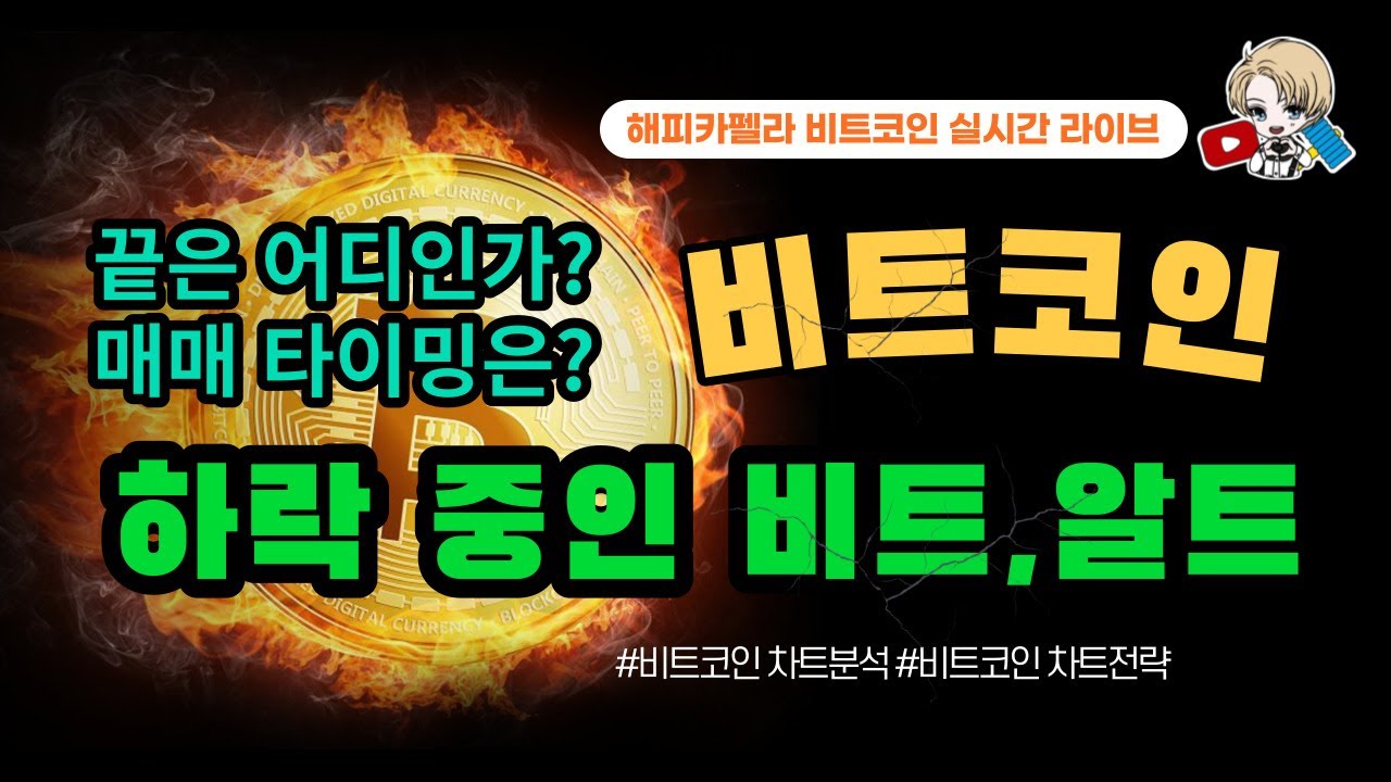 비트코인 실시간 비트알트 하락 중 방향성은 매매타이밍은 124 아침💎 비트코인 비트코인실시간 이더리움 리플