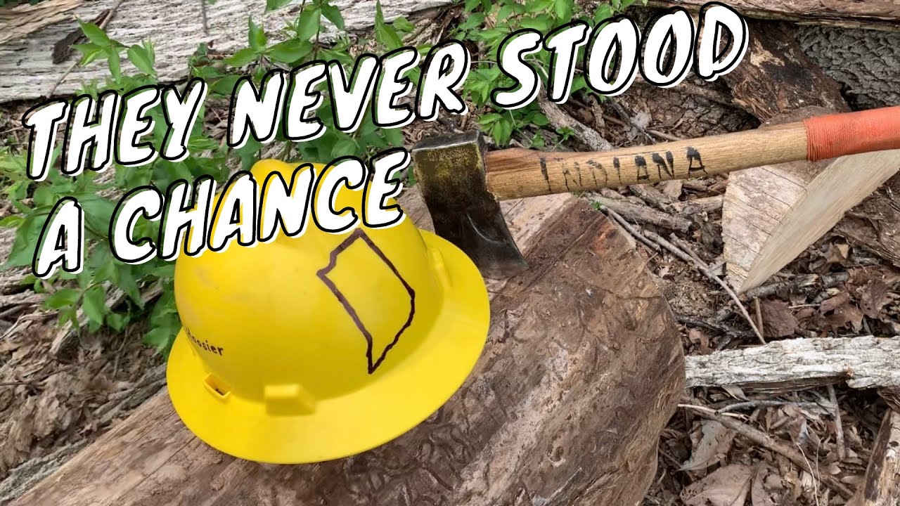 Dropping DANGEROUS Ash Trees! - YouTube