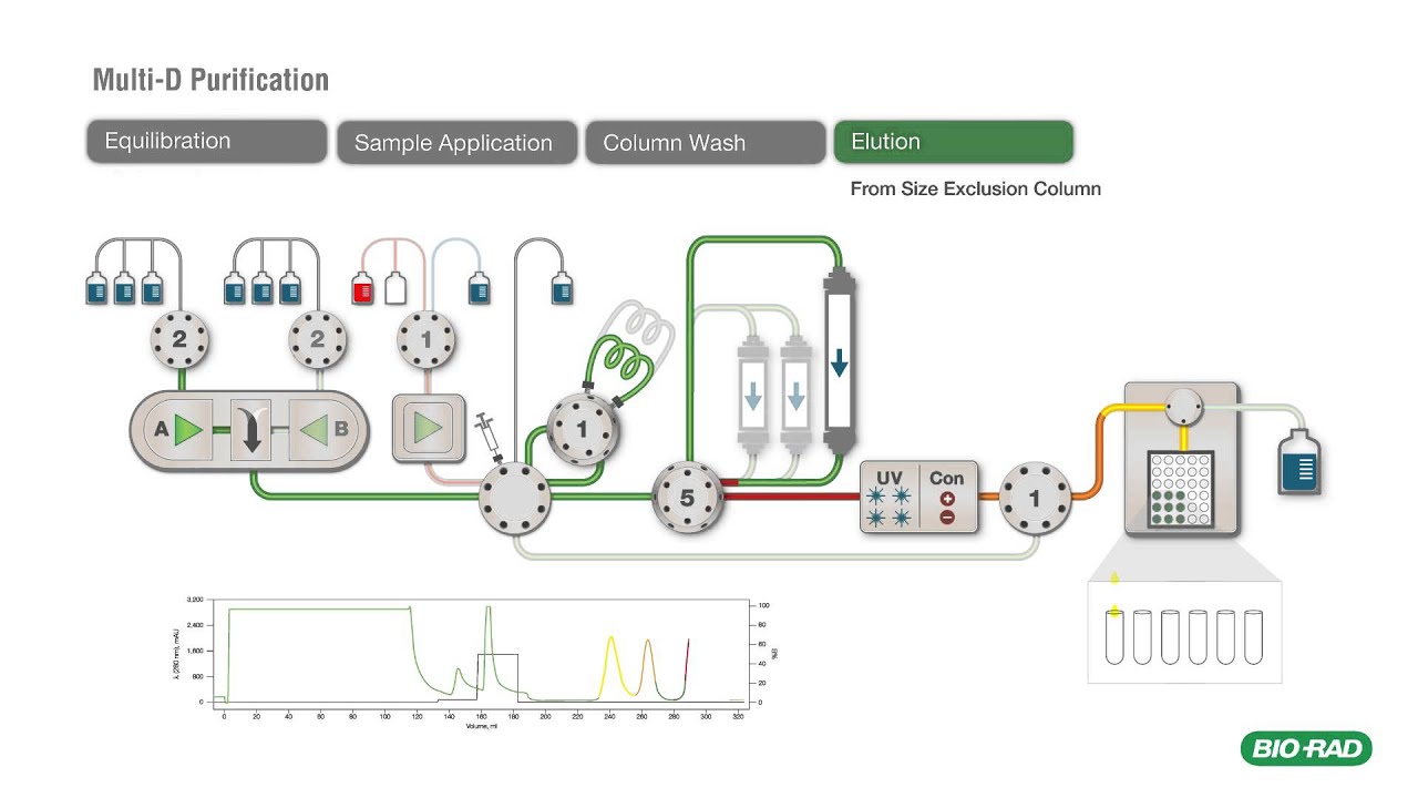 Automated Multi-D Chromatography on the NGC™ System - YouTube
