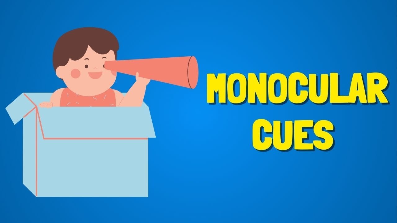 Why Do Artists Love Monocular Cues? Depth Perception Using Only One Eye ...