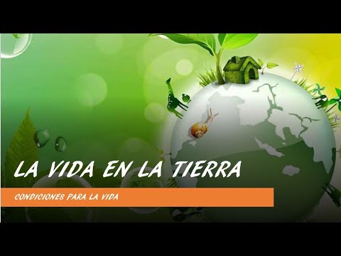 LAS CONDICIONES TERRESTRES NECESARIAS PARA LA VIDA