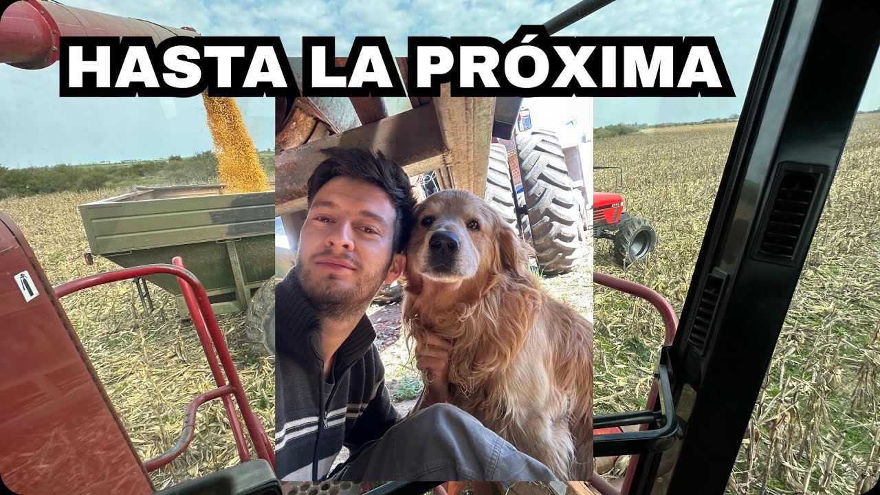 Mi DECISIÓN en las REDES SOCIALES, GRACIAS TODO! - Suarez Nico - YouTube