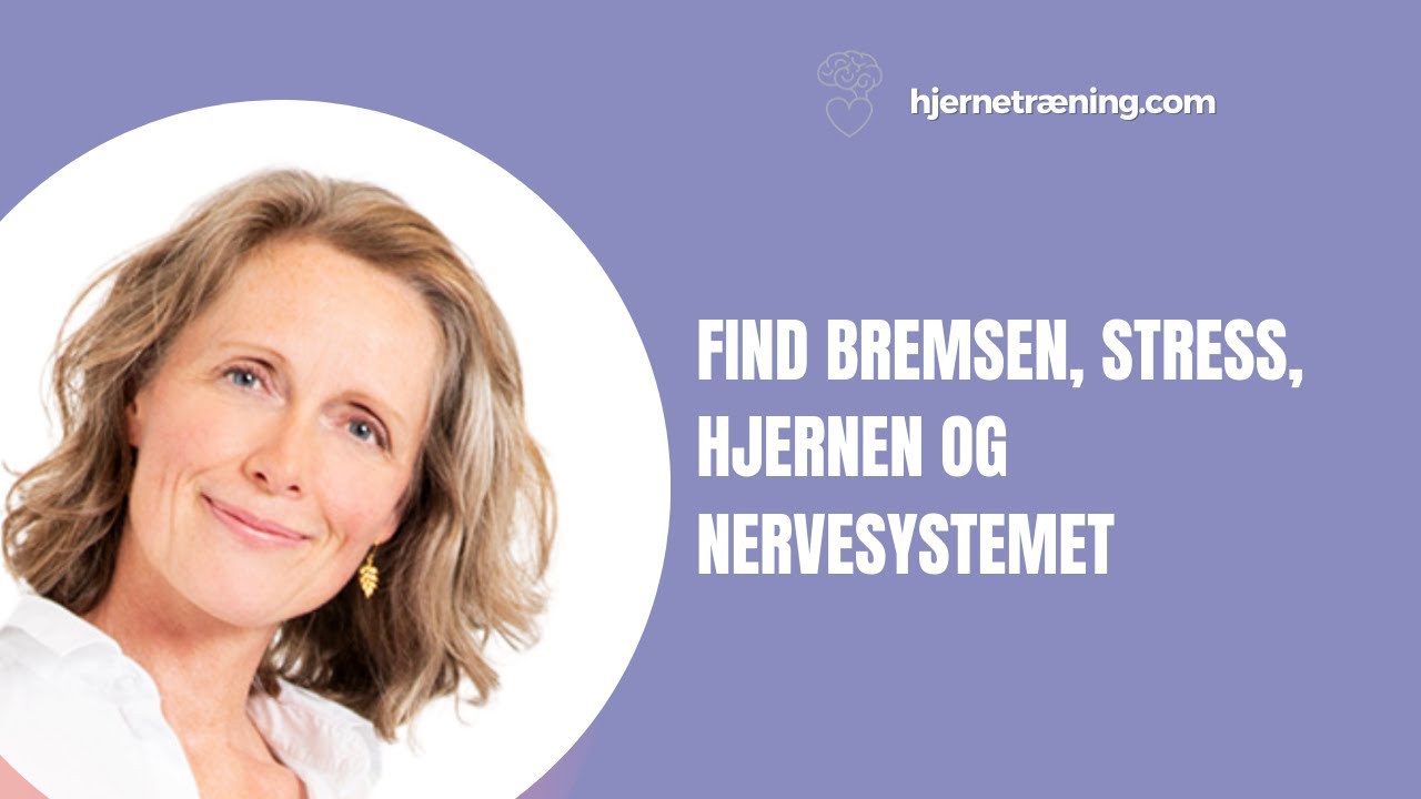 Find bremsen, stress, hjernen og nervesystemet - YouTube