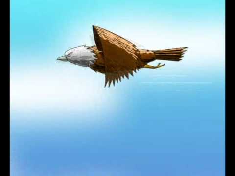 eagle flying animation flash - YouTube