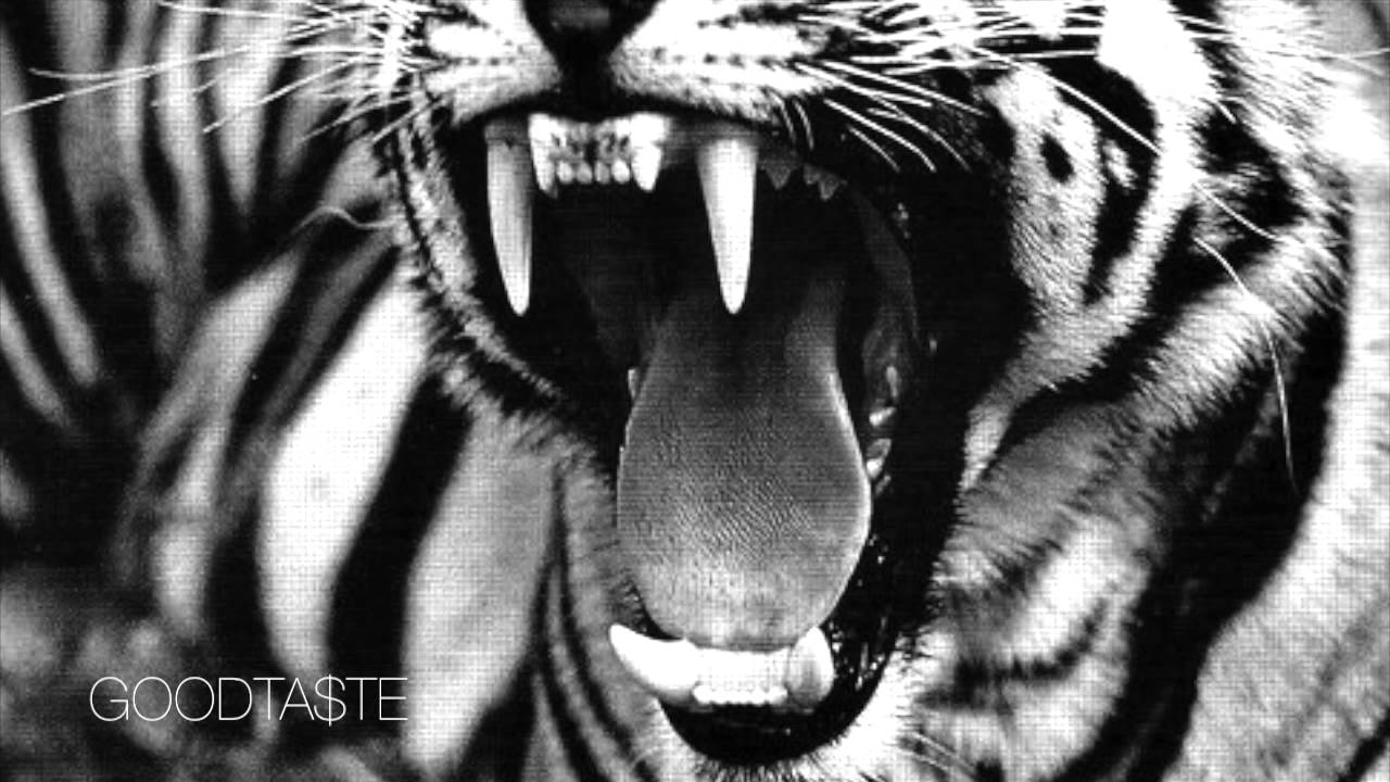 Usher Feat. Migos - Still Got It (DurtyChico Remix) - YouTube