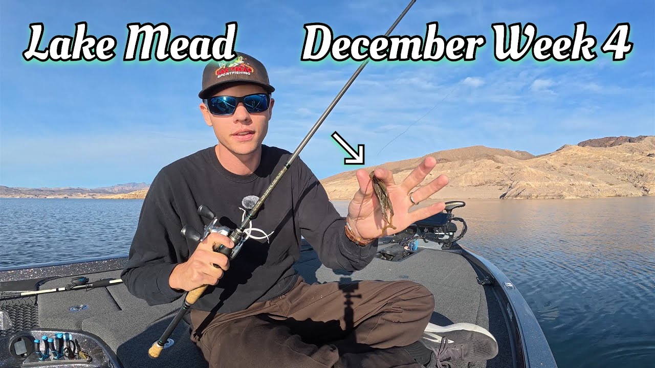 Lake Mead Fishing Report • December Week 4 - YouTube
