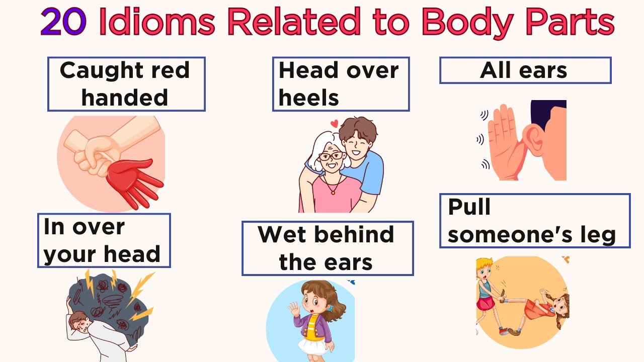 🌟20 Idioms and Phrases Related to Body Parts🌟 | 💡English Vocabulary💡# ...