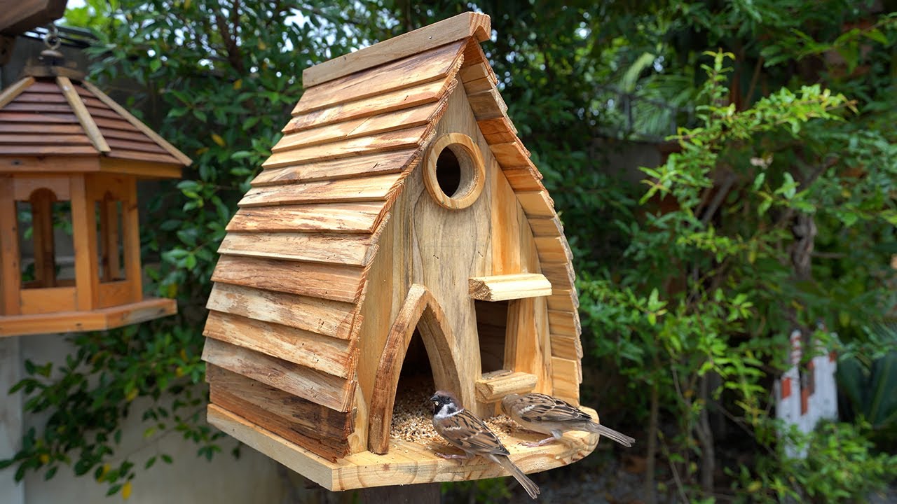 Bird house feeder store