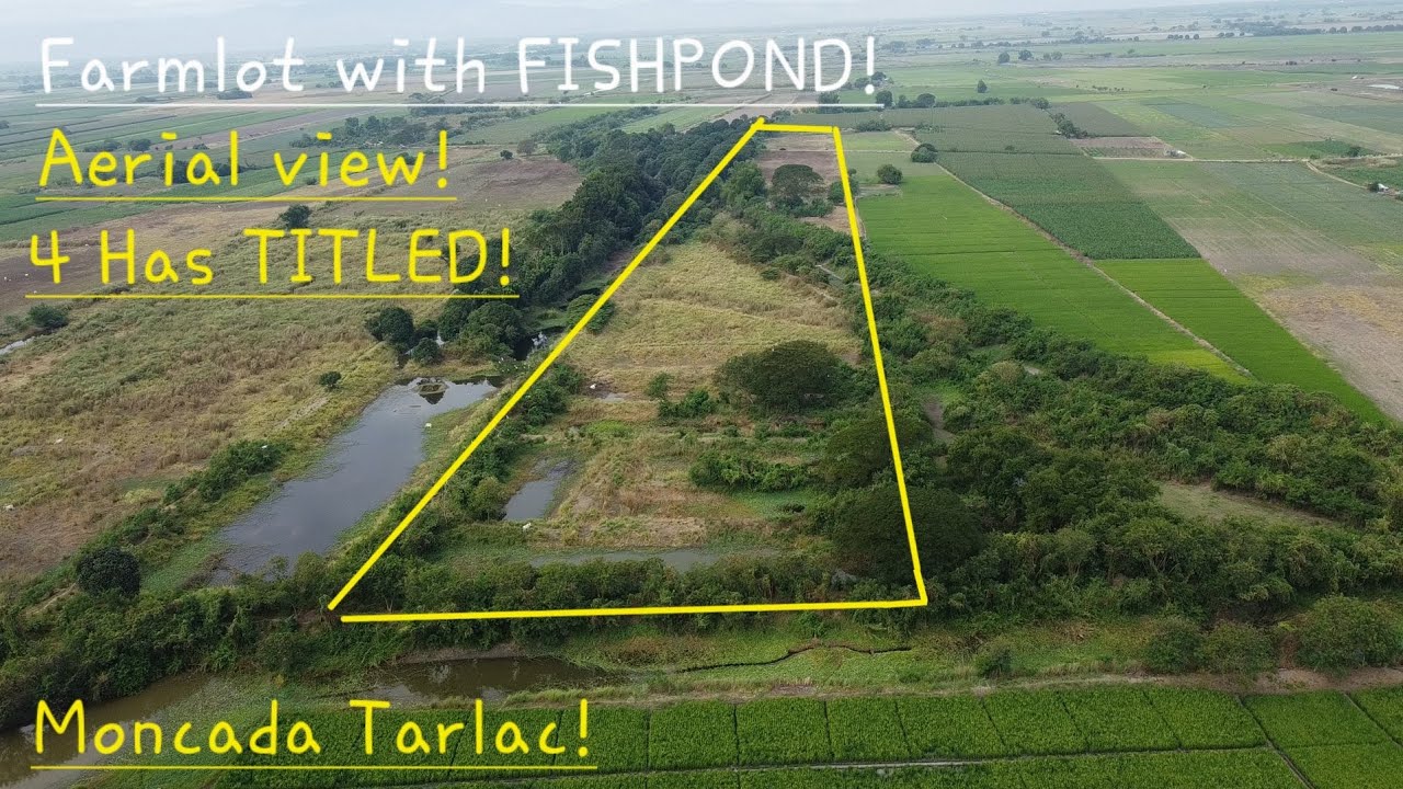 Aerial View of Farmlot with Fishponds in Moncada Tarlac 4has TITLED ...