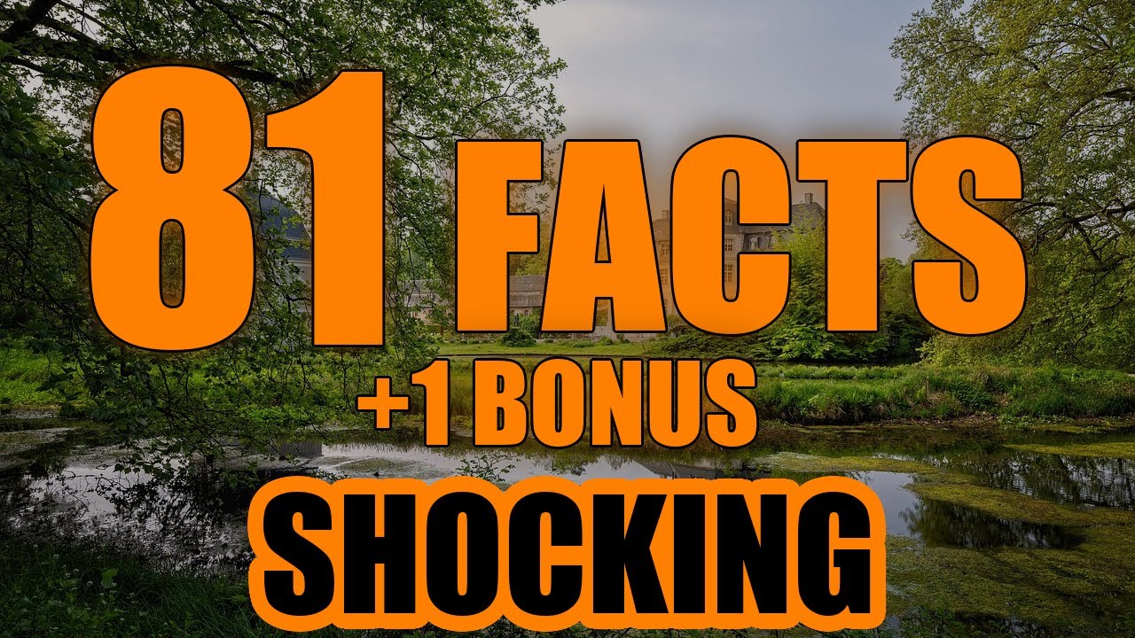 81 Amazing Random Facts | Amazing Facts You Didn’t Know- (+1 Bonus Fatc ...