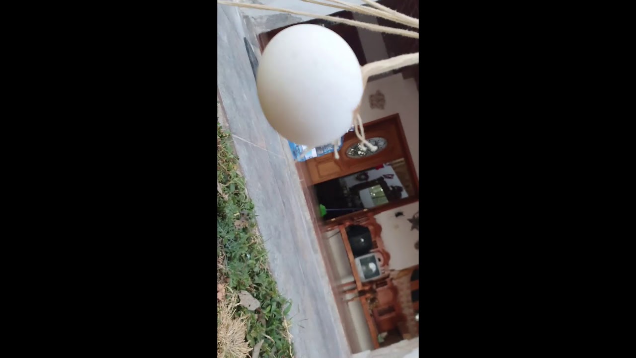 Proyecto Final (Paracaídas con huevo) - YouTube