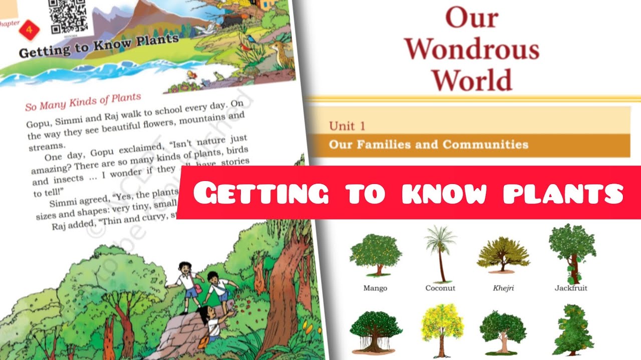 Getting to know plants - Class 3 - Unit 2 - Question Answer - evs ...