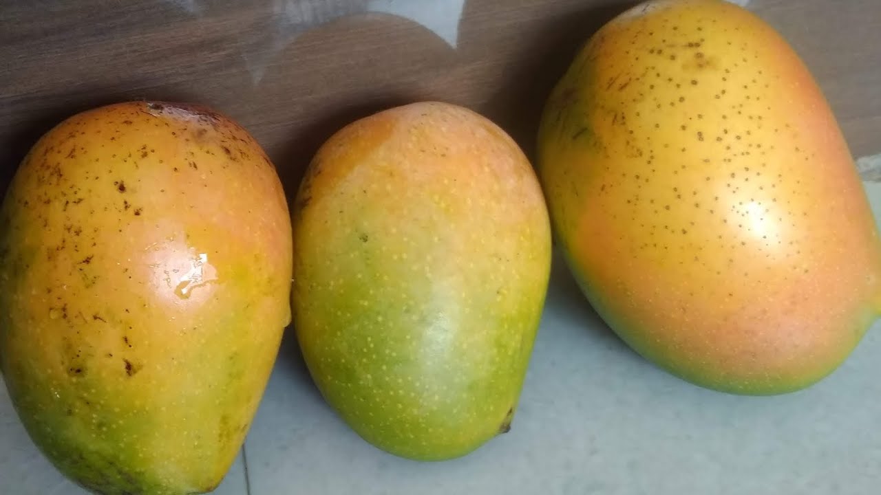 Mango papad recipe 🥭 watch full video.👍 - YouTube