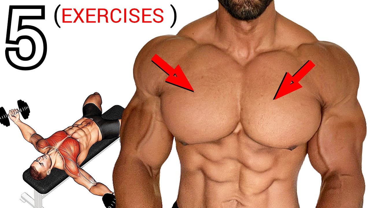 5 Great Exercises to Make Bigger Chest - YouTube