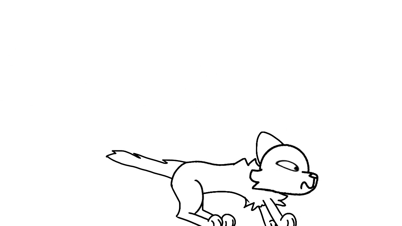 Cat animation test - YouTube