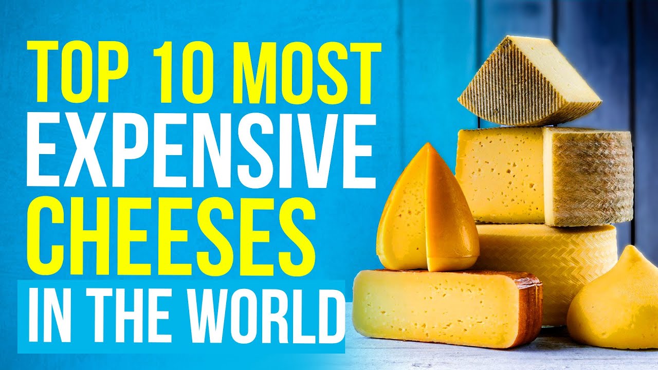 Top 10 Most Expensive Cheeses In The World - YouTube