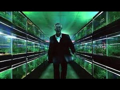 Cold Fish (2010) Movie Review - YouTube