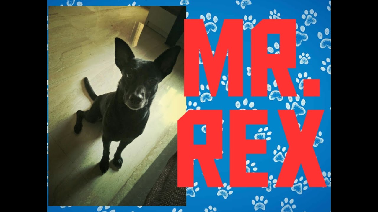 Let Me Dig - YouTube