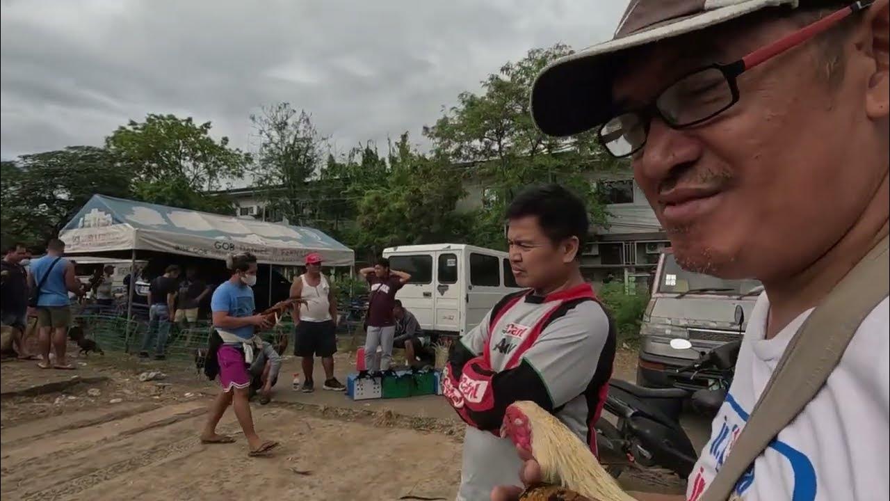 solid mga manok ni boss jay antonio 1500 lang ang presyuhan - YouTube