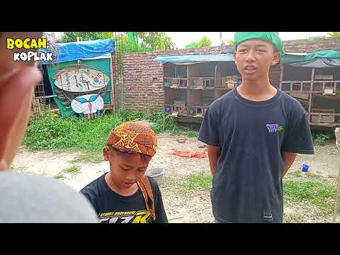 lucu di keroyok warga||bocah koplak melakukan ini...?😱😱😱
