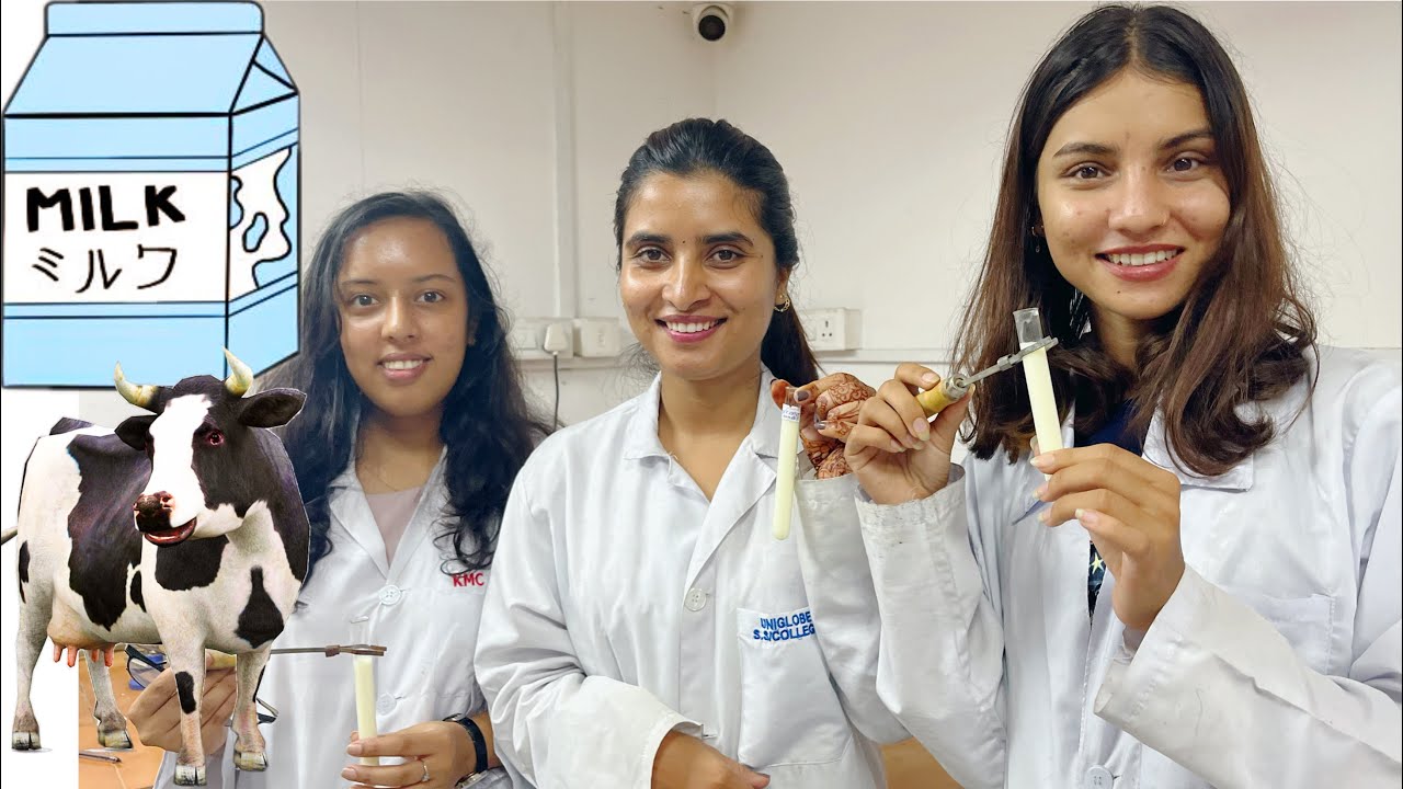 Analysis of Liquid Milk | Food Technology In Nepal | GoldenGate College ...