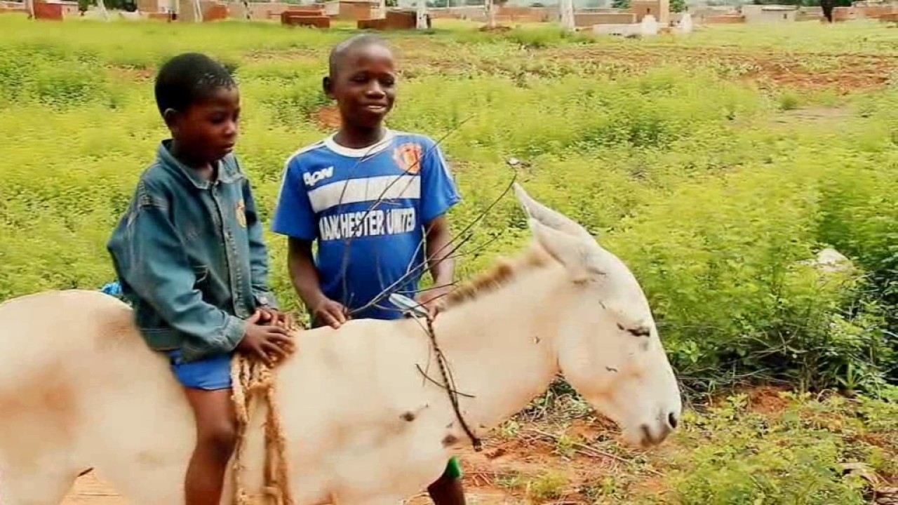 Clip lélé lougou Album Zang weni de Awetou - YouTube