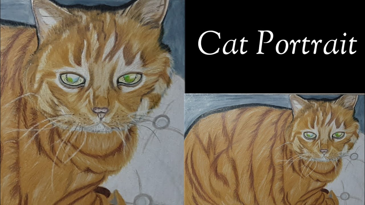 How to draw CAT with colored | colored pencil drawing - YouTube
