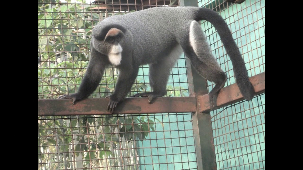 Kavumba Recreation Centre - YouTube