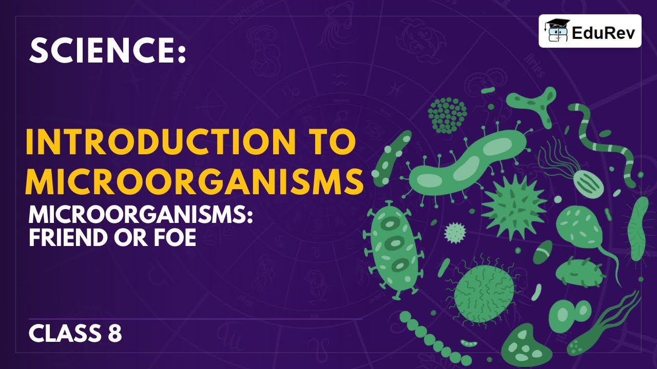 Introduction to Microorganisms - Microorganisms: Friend or Foe ...