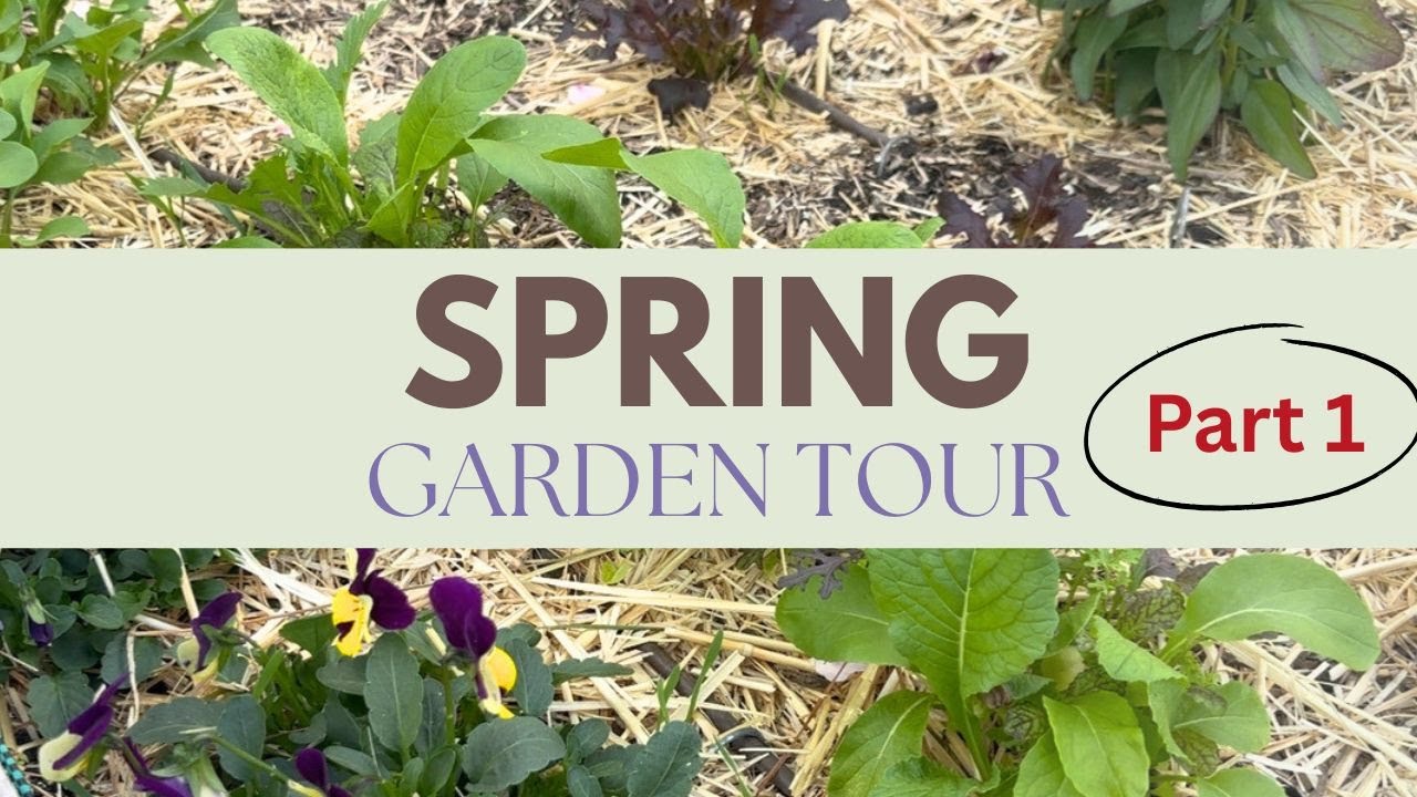 Spring Garden Tour: See What’s Growing - YouTube