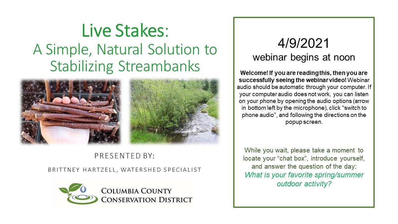 Live Staking Webinar - YouTube