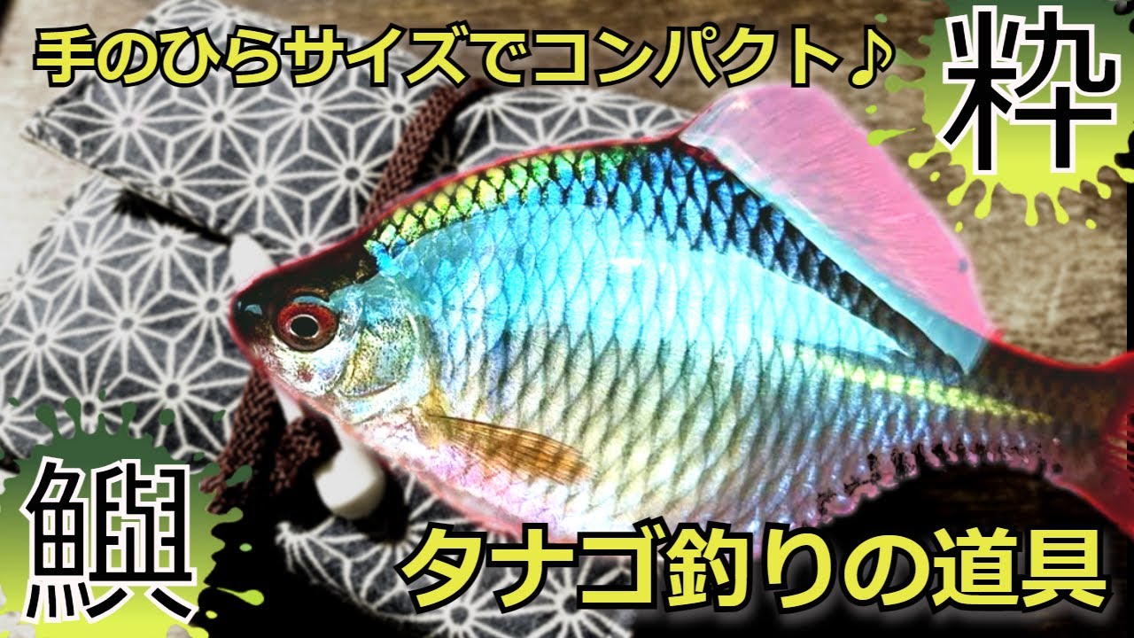 【タナゴ釣り】手のひらサイズでコンパクト♪ タナゴ釣りの道具紹介 Japanese Micro Fishing for TANAGO ...