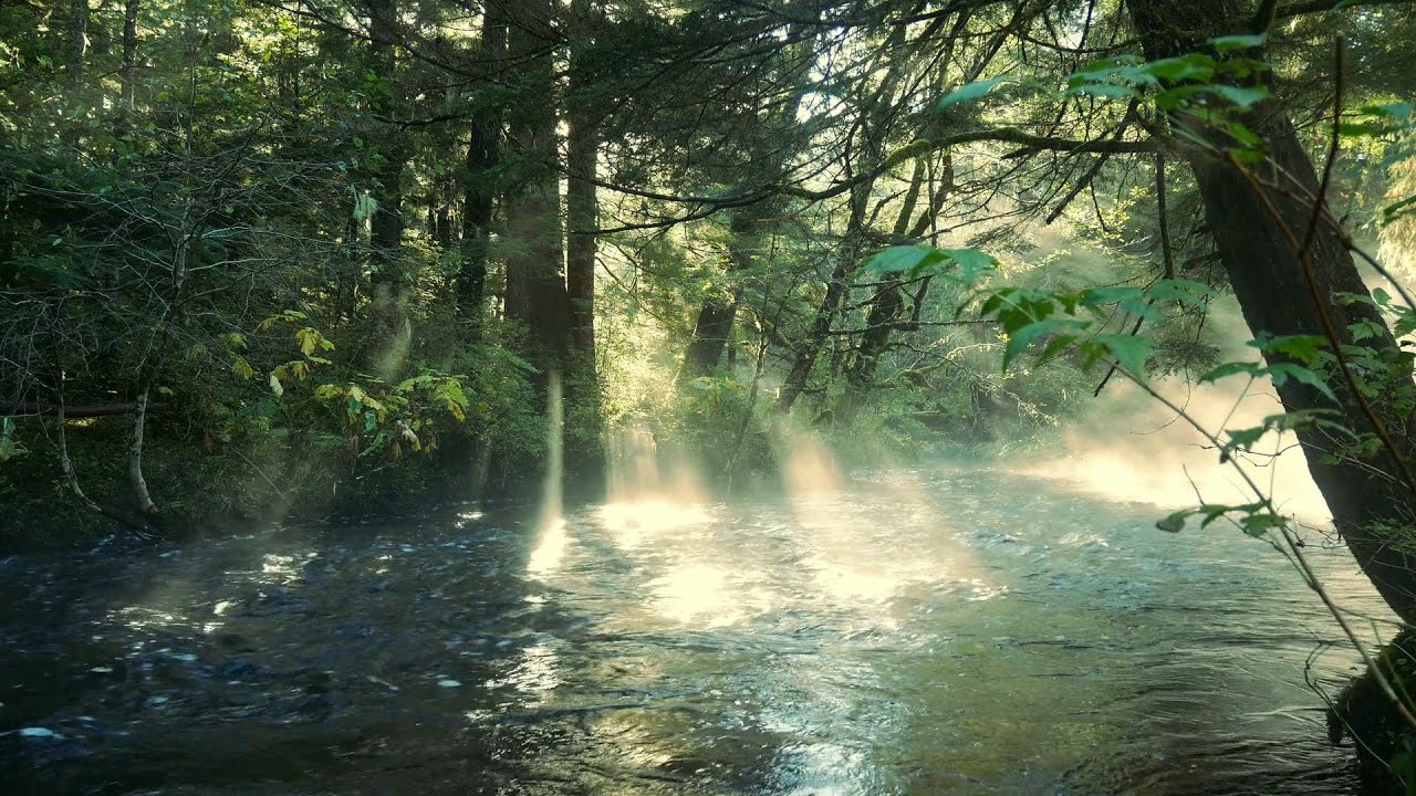 Sun Light Stream [Royalty-free] [Stock footage} - YouTube