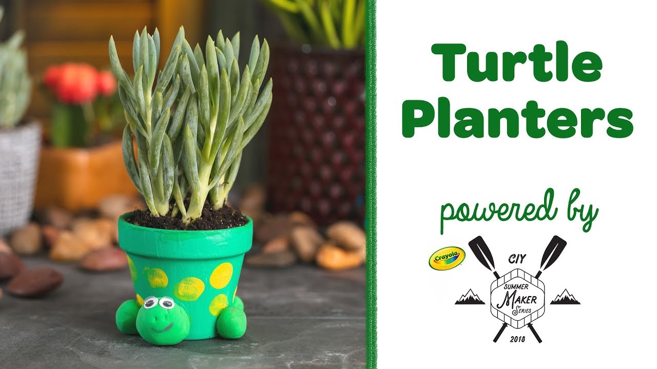 DIY Turtle Planters || Crayola Summer Maker Series - YouTube