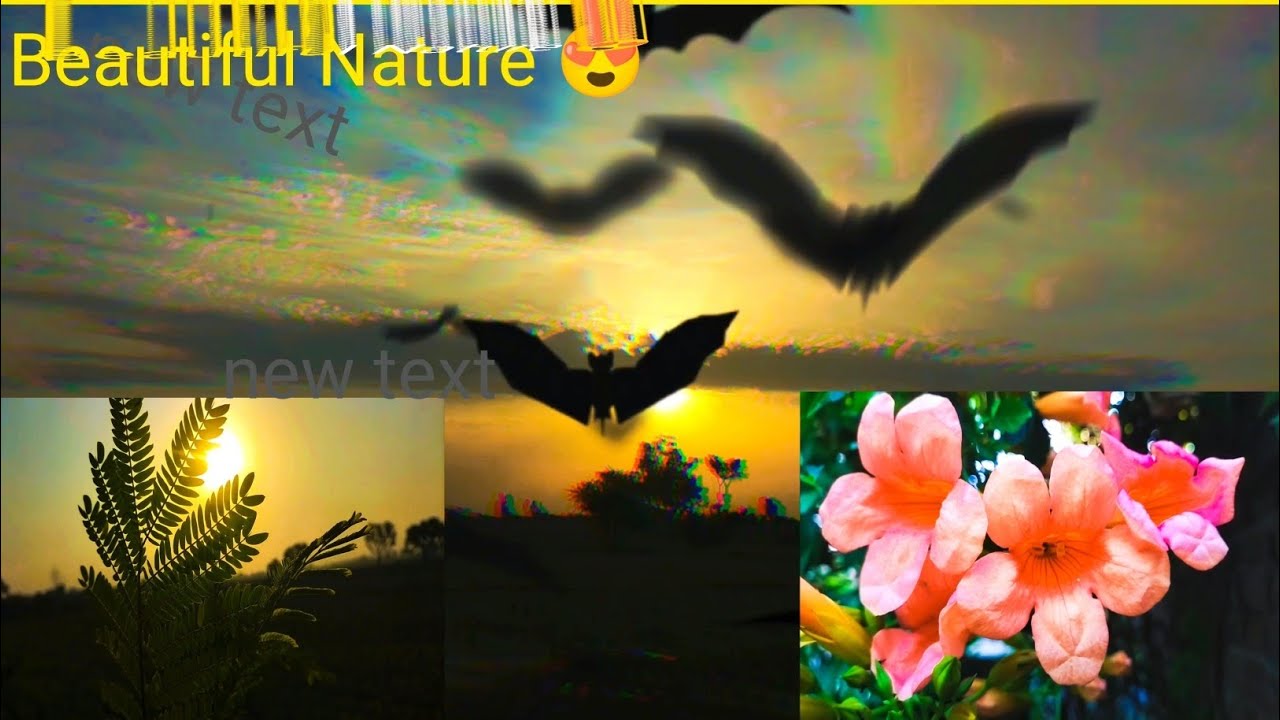 Beautiful Nature video editing - YouTube