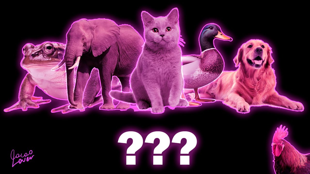 110 Animals Sound Variations Compilation in 200 Seconds - YouTube