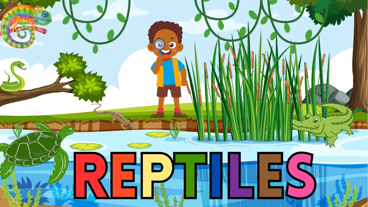 REPTILE NAMES for kids| Kids fun educational video| Reptile names ...