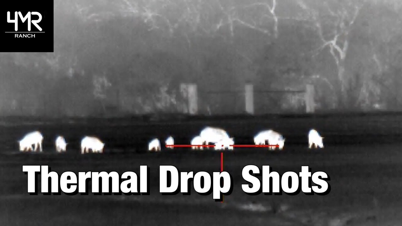 Thermal Drop Shots | ATN ThOR 4 - YouTube
