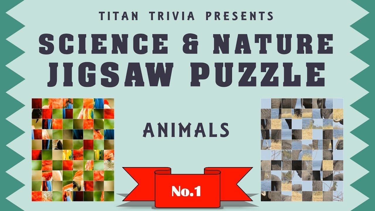 Animals ~ SCIENCE & NATURE JIGSAW PUZZLE No.1 - YouTube